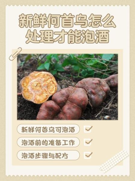 何首乌泡酒禁忌_何首乌泡酒有哪些副作用-第2张图片-山城妙识 何首乌泡酒禁忌_何首乌泡酒有哪些副作用-第2张图片-山城妙识