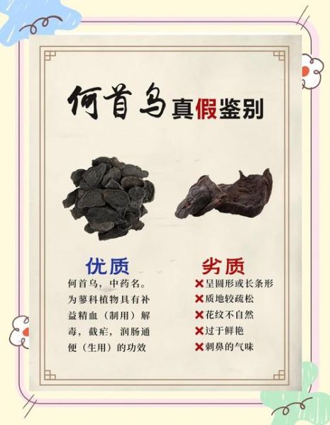 何首乌泡酒禁忌_何首乌泡酒有哪些副作用-第3张图片-山城妙识 何首乌泡酒禁忌_何首乌泡酒有哪些副作用-第3张图片-山城妙识