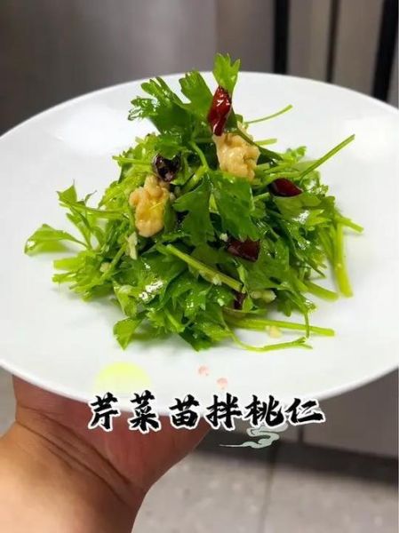 2021流行凉菜有哪些_如何在家复刻网红凉拌菜-第1张图片-山城妙识 2021流行凉菜有哪些_如何在家复刻网红凉拌菜-第1张图片-山城妙识