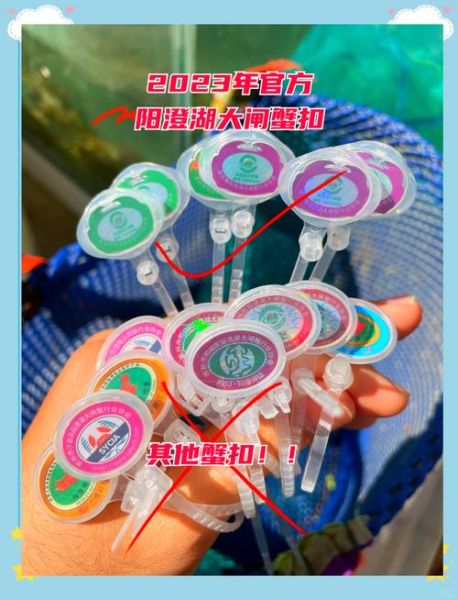 阳澄湖大闸蟹高清图片哪里找_如何辨别真假-第2张图片-山城妙识 阳澄湖大闸蟹高清图片哪里找_如何辨别真假-第2张图片-山城妙识