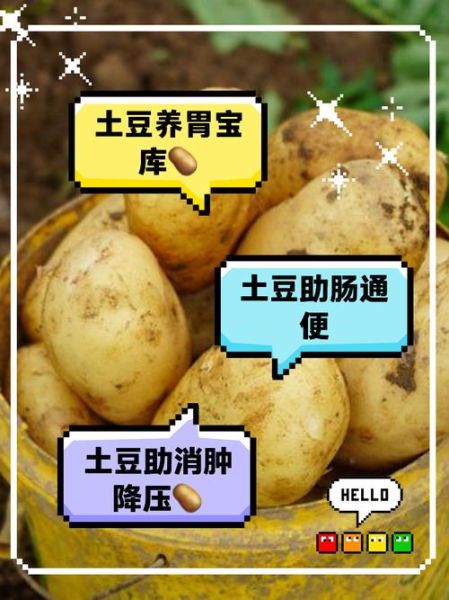 土豆能治胃病吗_土豆降血压是真的吗-第1张图片-山城妙识 土豆能治胃病吗_土豆降血压是真的吗-第1张图片-山城妙识