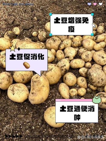 土豆能治胃病吗_土豆降血压是真的吗-第3张图片-山城妙识 土豆能治胃病吗_土豆降血压是真的吗-第3张图片-山城妙识