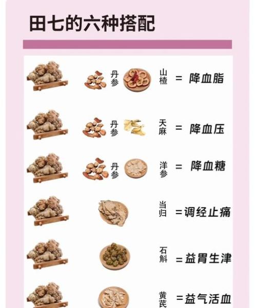 田七适合什么人吃_田七的禁忌人群有哪些-第1张图片-山城妙识