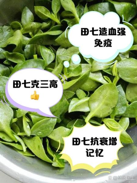 田七适合什么人吃_田七的禁忌人群有哪些-第3张图片-山城妙识