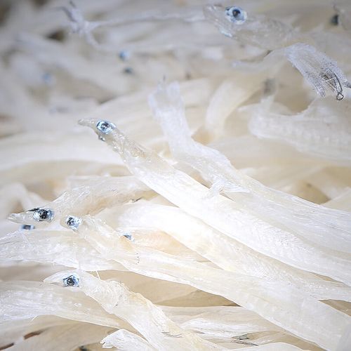 银鱼卖120元一斤正常吗_银鱼价格为什么这么贵-第1张图片-山城妙识 银鱼卖120元一斤正常吗_银鱼价格为什么这么贵-第1张图片-山城妙识