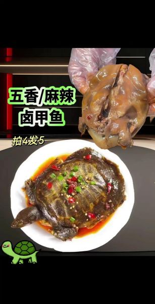 麻辣甲鱼怎么做_麻辣甲鱼做法大全图解-第1张图片-山城妙识 麻辣甲鱼怎么做_麻辣甲鱼做法大全图解-第1张图片-山城妙识