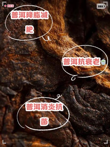 女性喝普洱茶的好处和禁忌_月经期可以喝吗-第3张图片-山城妙识 女性喝普洱茶的好处和禁忌_月经期可以喝吗-第3张图片-山城妙识