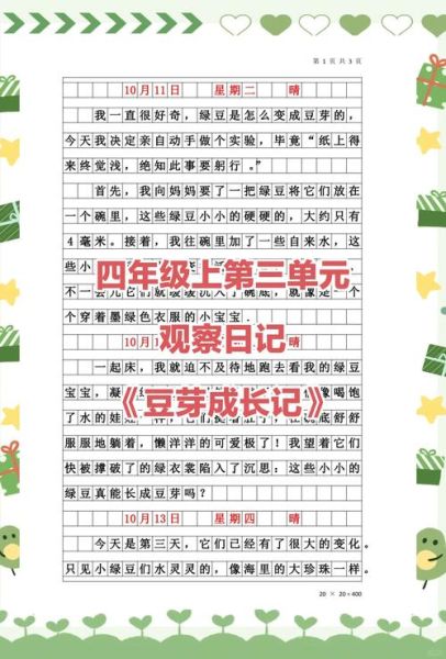 豆芽生长过程_观察日记怎么写-第3张图片-山城妙识