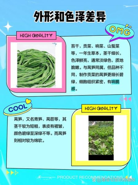 苔菜是莴笋晒干的吗_苔菜和莴笋的区别-第1张图片-山城妙识 苔菜是莴笋晒干的吗_苔菜和莴笋的区别-第1张图片-山城妙识