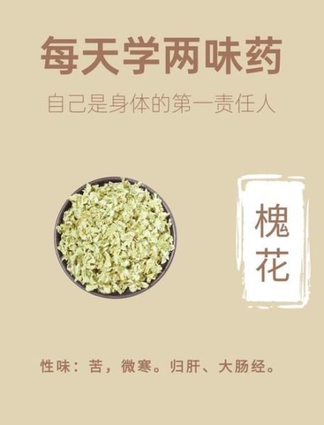 槐花什么时候开_槐花有什么功效-第2张图片-山城妙识 槐花什么时候开_槐花有什么功效-第2张图片-山城妙识