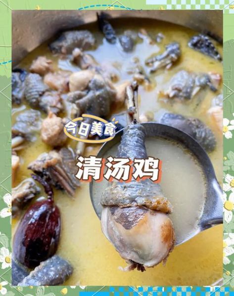 炖鸡肉怎么炖才好吃_炖鸡肉的正确步骤-第1张图片-山城妙识