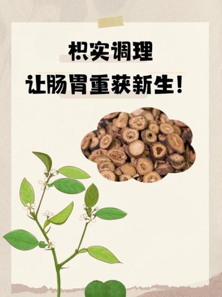 枳实的功效与作用_枳实怎么泡水喝-第2张图片-山城妙识