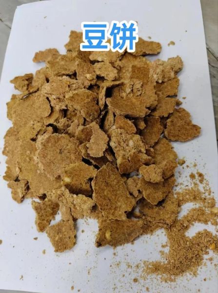 豆饼网是什么_豆饼网怎么用-第2张图片-山城妙识