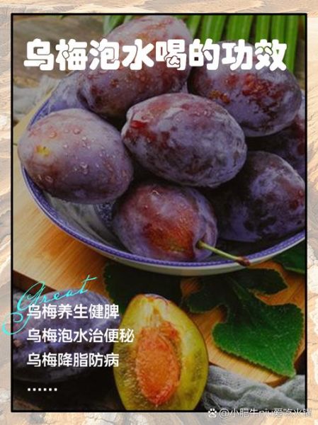 新鲜乌梅怎么吃_新鲜乌梅的功效与作用-第2张图片-山城妙识