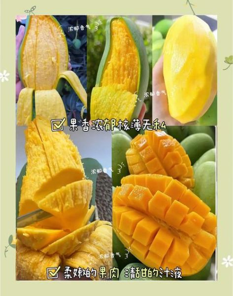 青芒果怎么吃最好吃_青芒果最佳吃法大全-第3张图片-山城妙识