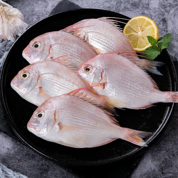 铜盆鱼是什么鱼_铜盆鱼价格多少钱一斤-第1张图片-山城妙识 铜盆鱼是什么鱼_铜盆鱼价格多少钱一斤-第1张图片-山城妙识