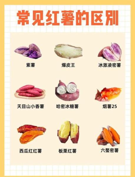 红薯的功效与作用禁忌_红薯吃多了会胖吗-第2张图片-山城妙识