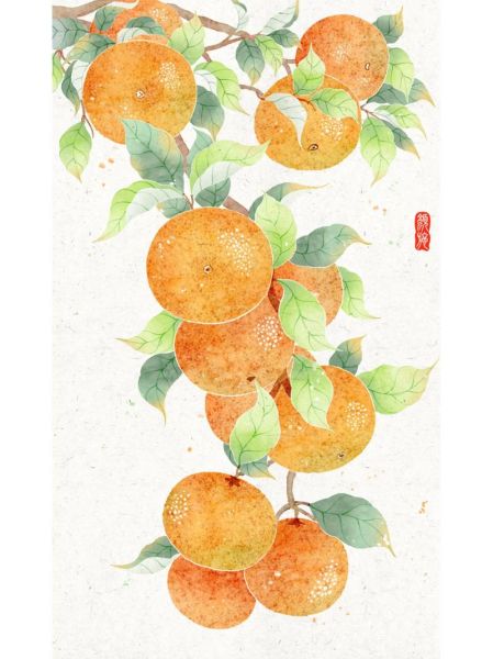 水果画画图片大全_适合临摹的素材有哪些-第1张图片-山城妙识