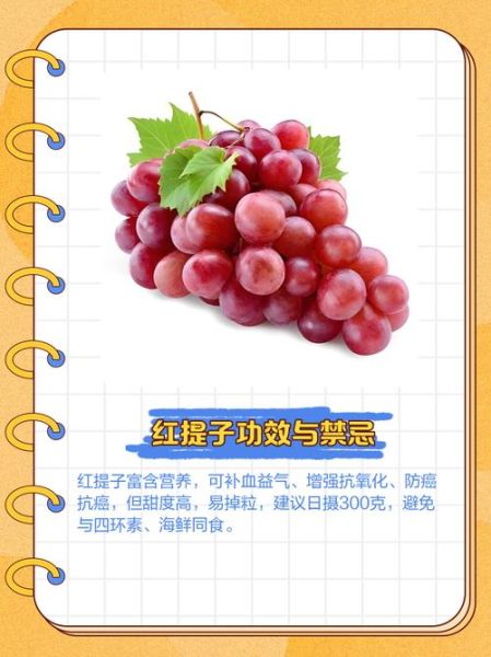 红提子怎么保存_红提子营养价值有哪些-第3张图片-山城妙识 红提子怎么保存_红提子营养价值有哪些-第3张图片-山城妙识