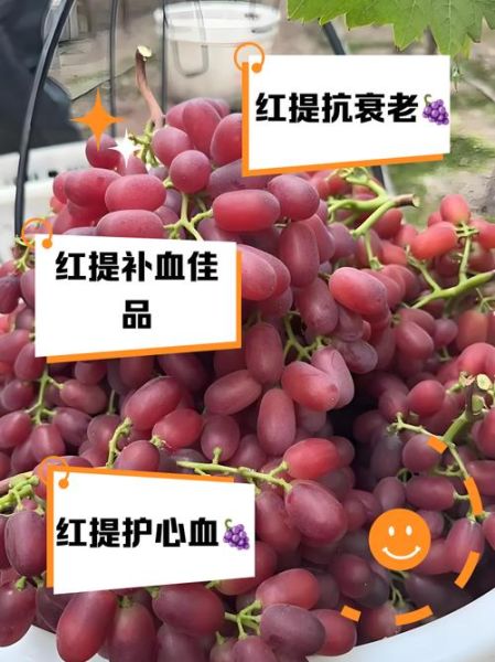 红提子怎么保存_红提子营养价值有哪些-第1张图片-山城妙识 红提子怎么保存_红提子营养价值有哪些-第1张图片-山城妙识