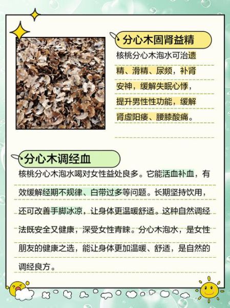 核桃分心木泡水喝的功效与禁忌_哪些人不能喝-第3张图片-山城妙识