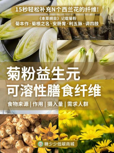 菊粉是什么提取出来的_菊粉原料来源有哪些-第2张图片-山城妙识