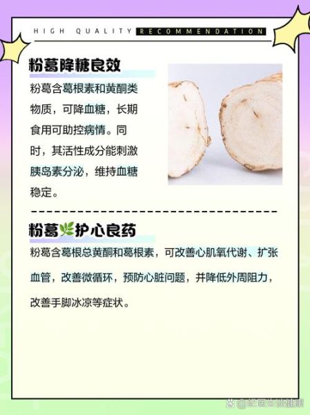 天然葛粉的功效与作用_适合什么人吃-第2张图片-山城妙识 天然葛粉的功效与作用_适合什么人吃-第2张图片-山城妙识