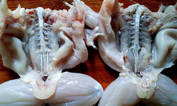 吃牛蛙的危害有哪些_牛蛙寄生虫风险大吗-第3张图片-山城妙识