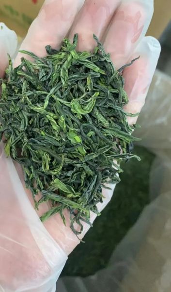 六安瓜片礼盒装价格_多少钱一盒-第1张图片-山城妙识 六安瓜片礼盒装价格_多少钱一盒-第1张图片-山城妙识