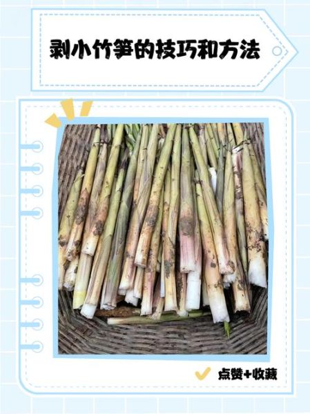 竹笋怎么剥皮_竹笋怎么切-第1张图片-山城妙识