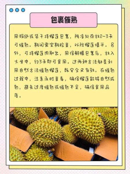 榴莲怎么催熟最快_榴莲放几天能熟-第3张图片-山城妙识 榴莲怎么催熟最快_榴莲放几天能熟-第3张图片-山城妙识
