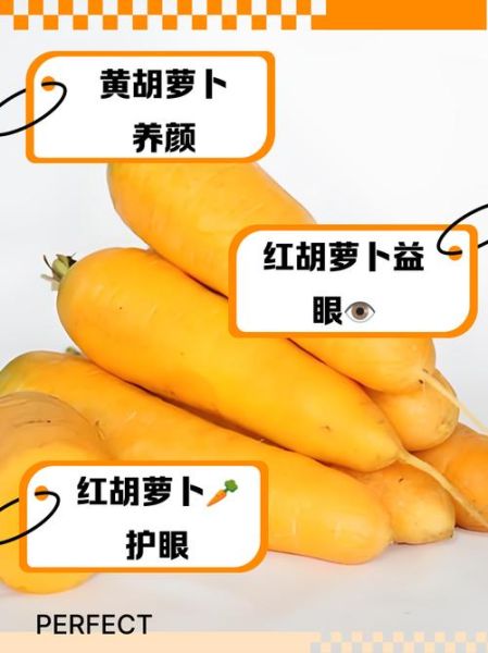红萝卜和胡萝卜的区别_哪个营养价值更高-第1张图片-山城妙识 红萝卜和胡萝卜的区别_哪个营养价值更高-第1张图片-山城妙识
