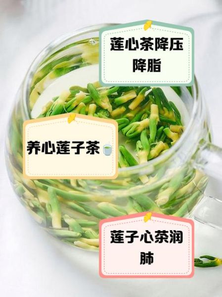 莲心泡水喝的副作用_莲心茶长期喝有什么危害-第1张图片-山城妙识