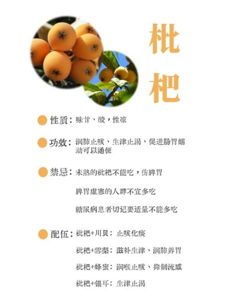 枇杷果的功效与作用_枇杷果可以吃多吗-第1张图片-山城妙识 枇杷果的功效与作用_枇杷果可以吃多吗-第1张图片-山城妙识