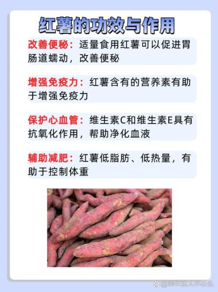 吃红薯能减肥吗_红薯的功效与作用-第2张图片-山城妙识 吃红薯能减肥吗_红薯的功效与作用-第2张图片-山城妙识