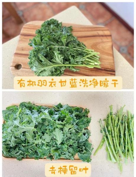 羽衣甘蓝可以生吃吗_羽衣甘蓝怎么做好吃-第1张图片-山城妙识