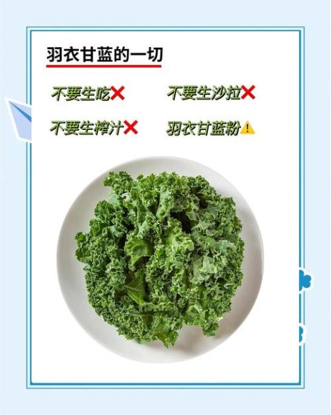 羽衣甘蓝可以生吃吗_羽衣甘蓝怎么做好吃-第2张图片-山城妙识