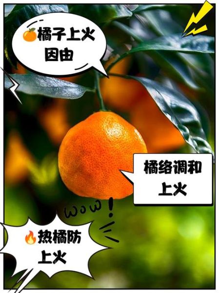 橙子是上火还是降火_吃橙子会上火吗-第1张图片-山城妙识 橙子是上火还是降火_吃橙子会上火吗-第1张图片-山城妙识