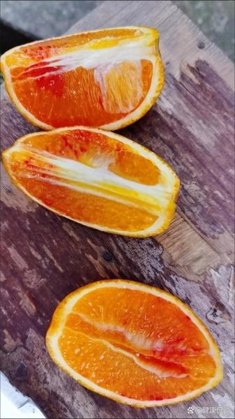 橙子是上火还是降火_吃橙子会上火吗-第3张图片-山城妙识 橙子是上火还是降火_吃橙子会上火吗-第3张图片-山城妙识