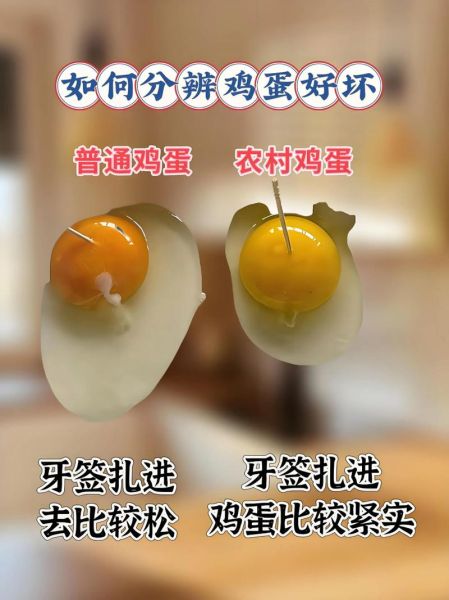 鸡蛋放了3个月能吃吗_如何判断鸡蛋是否变质-第1张图片-山城妙识