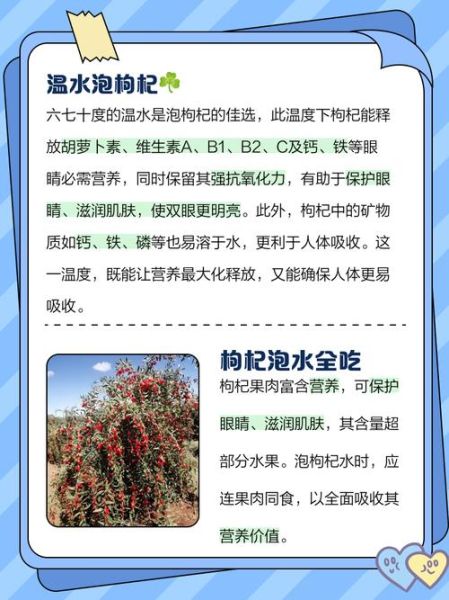 枸杞泡水喝的正确方法水温_枸杞泡水水温多少度最好-第2张图片-山城妙识