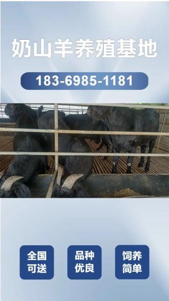 回本最快的养殖业有哪些_小型养殖项目多久盈利-第3张图片-山城妙识