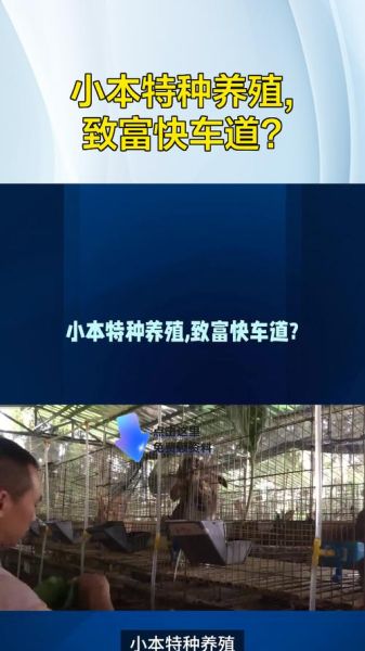 回本最快的养殖业有哪些_小型养殖项目多久盈利-第2张图片-山城妙识