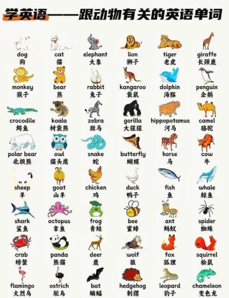 what_animals_are_in_the_zoo_动物园里有哪些动物英文名称-第2张图片-山城妙识