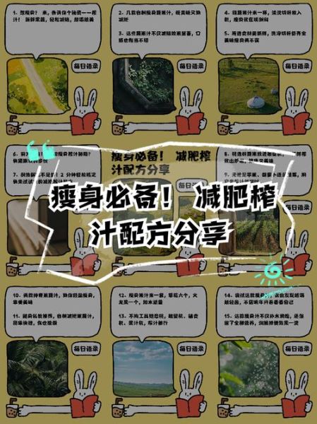 榨汁食谱减肥有用吗_一周瘦几斤-第1张图片-山城妙识