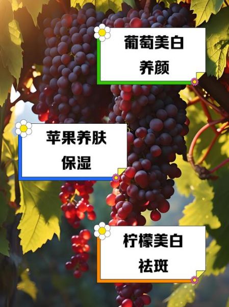 美白吃什么水果好_哪些水果能变白-第2张图片-山城妙识 美白吃什么水果好_哪些水果能变白-第2张图片-山城妙识