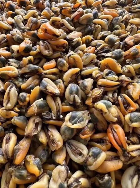 淡菜干怎么泡发_淡菜干的做法图片大全-第1张图片-山城妙识