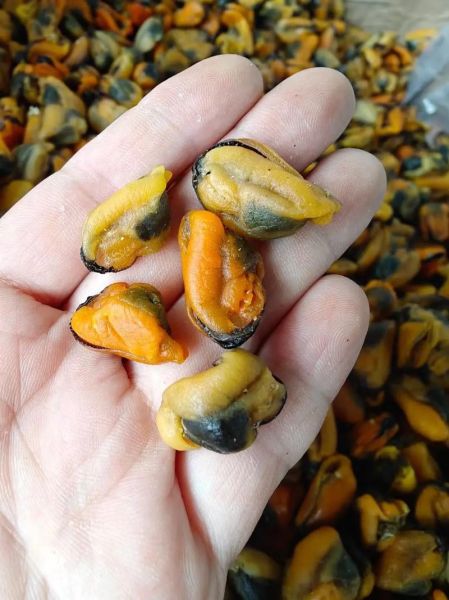 淡菜干怎么泡发_淡菜干的做法图片大全-第2张图片-山城妙识