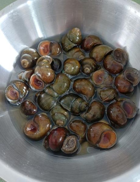 水煮田螺怎么做好吃_水煮田螺要煮多久才入味-第3张图片-山城妙识