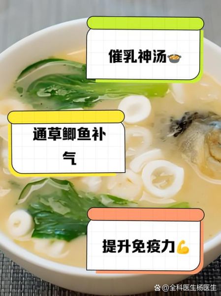 通草鲫鱼汤多久下奶_下奶效果真的快吗-第2张图片-山城妙识 通草鲫鱼汤多久下奶_下奶效果真的快吗-第2张图片-山城妙识